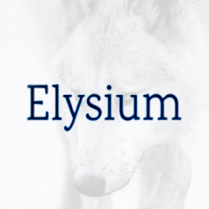 Elysium Market – DarkNet KING