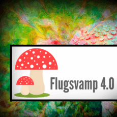 Flugsvamp 4.0 – DarkNet KING